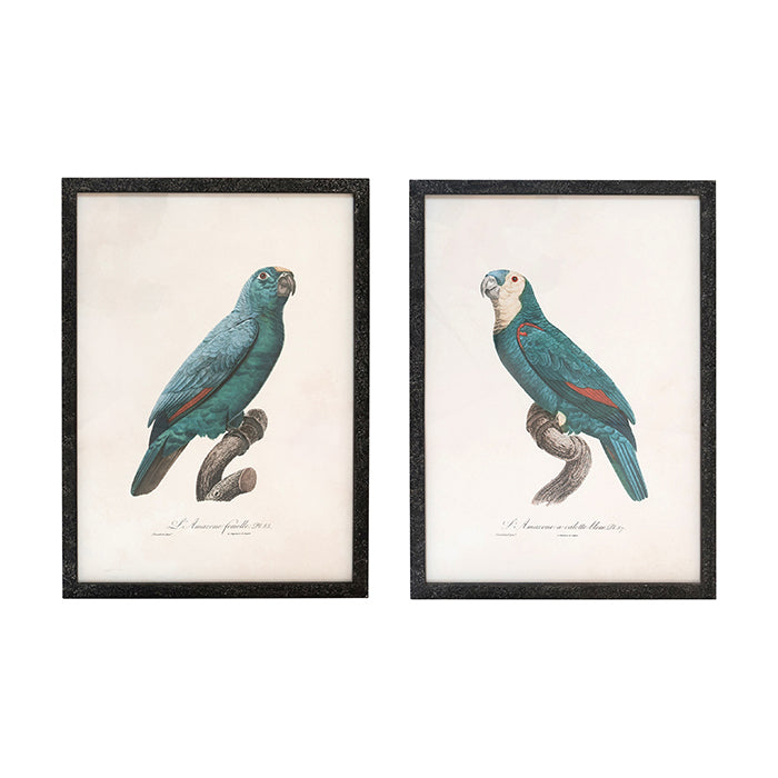 Jipp Tropical Bird Wall Art – Ebb+Flow Boutique